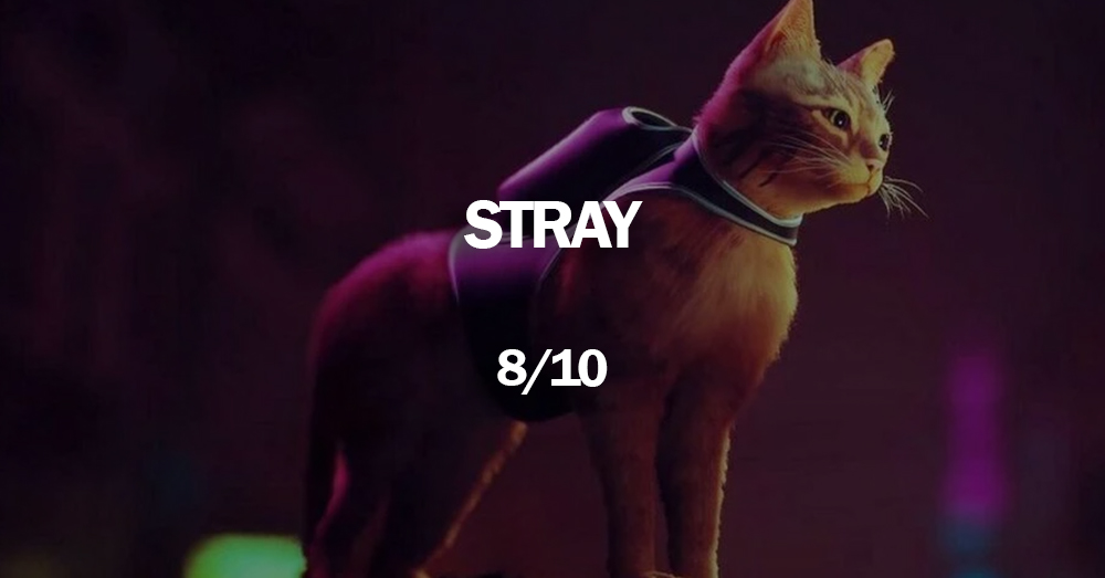Stray Review – A Pawsitive Experience - GamerBraves