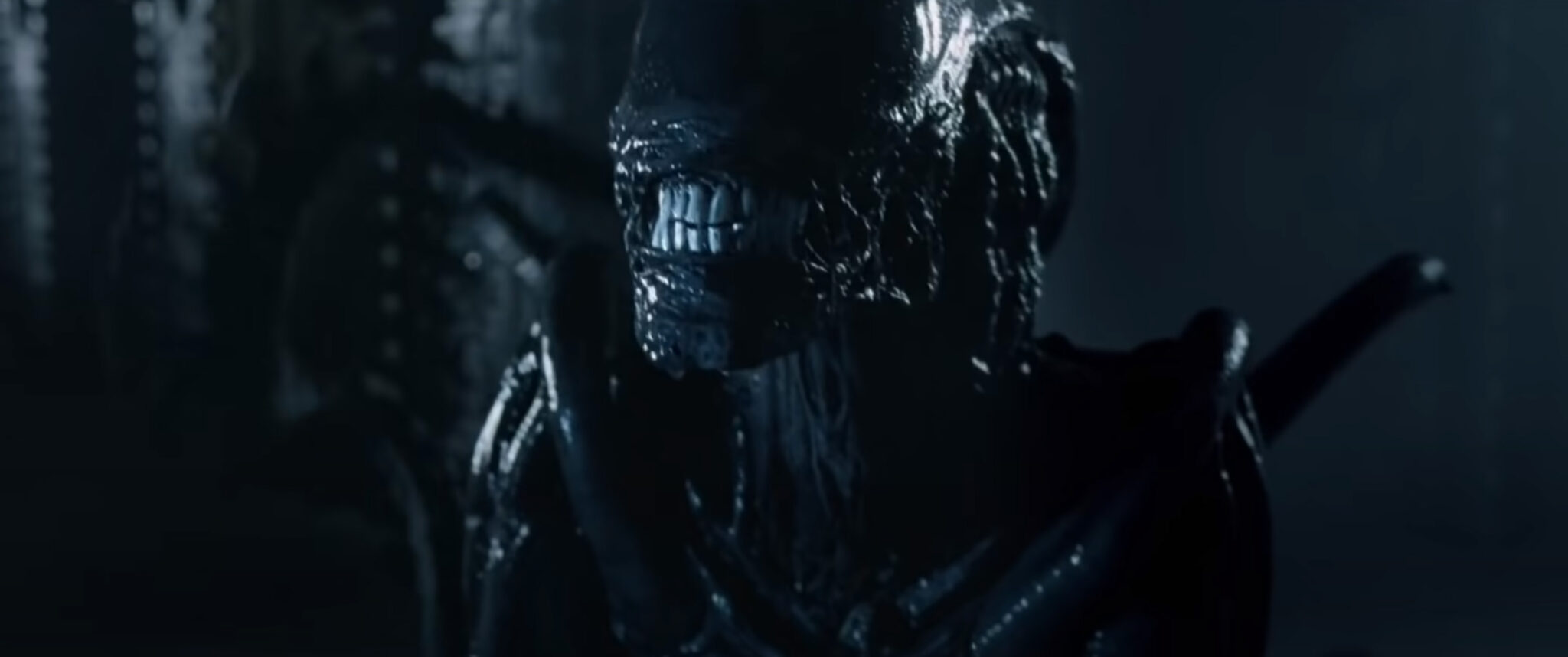 Monster Hunter Gore Magala Reproduction Biology Resembles Xenomorphs ...