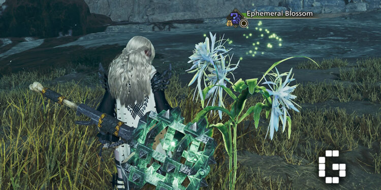 Monster Hunter and Zoids Unveil Collaboration Mecha Rathalos and ...