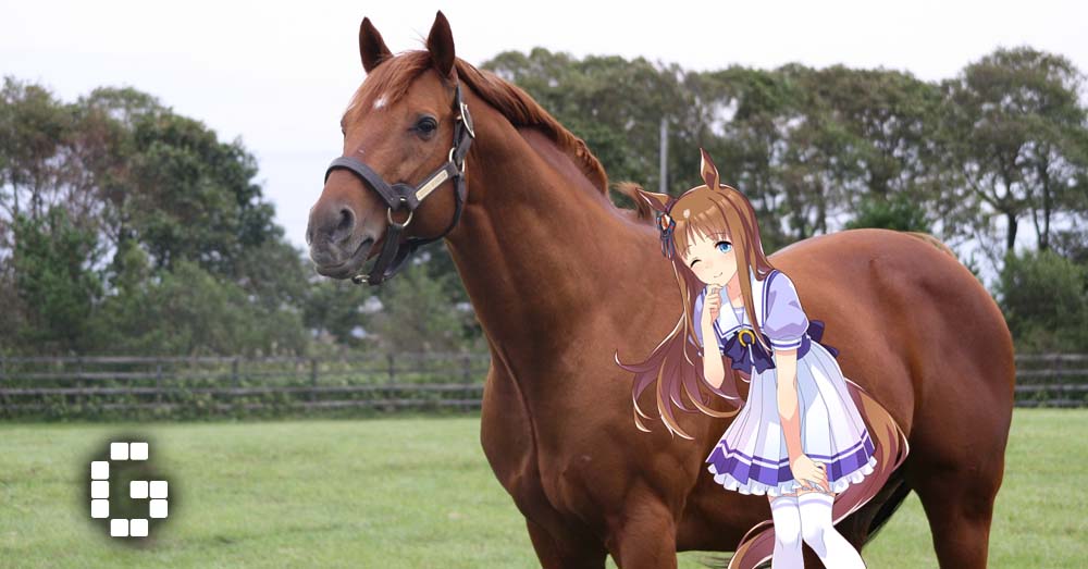 Legendary Japanese Racehorse & Umamusume Icon Grass Wonder Dies at 30 ...