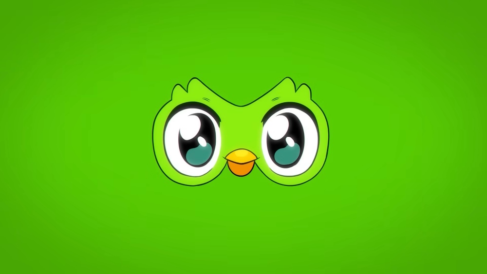 Duolingo Launches Anime Series “The Final Test” Starring Duo - GamerBraves