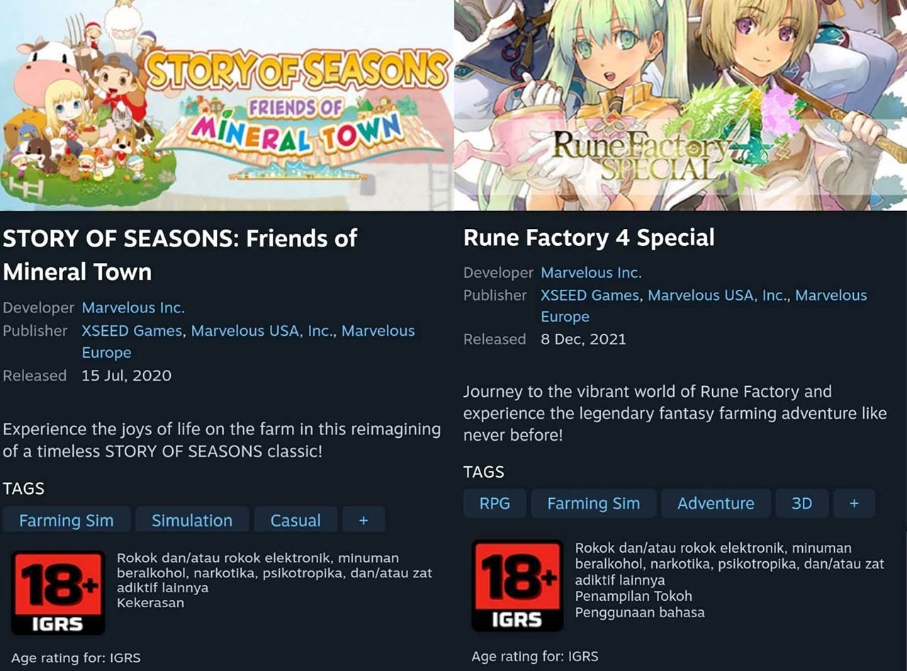 Indonesia’s IGRS Game Rating System Arrives on Steam But a Rocky Start ...